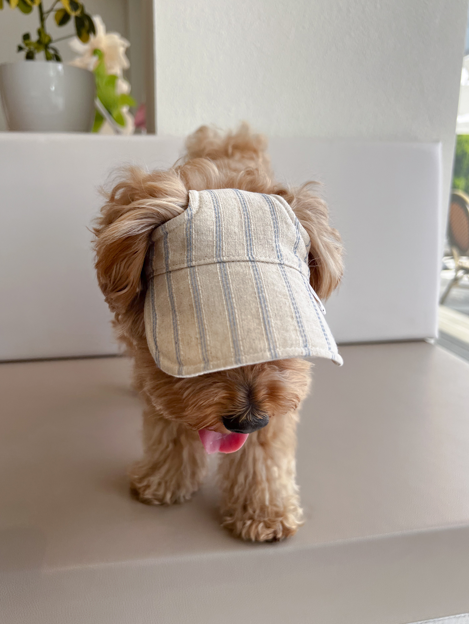 바잇미 :: 메오에마우 블루 스티치 린넨 썬캡